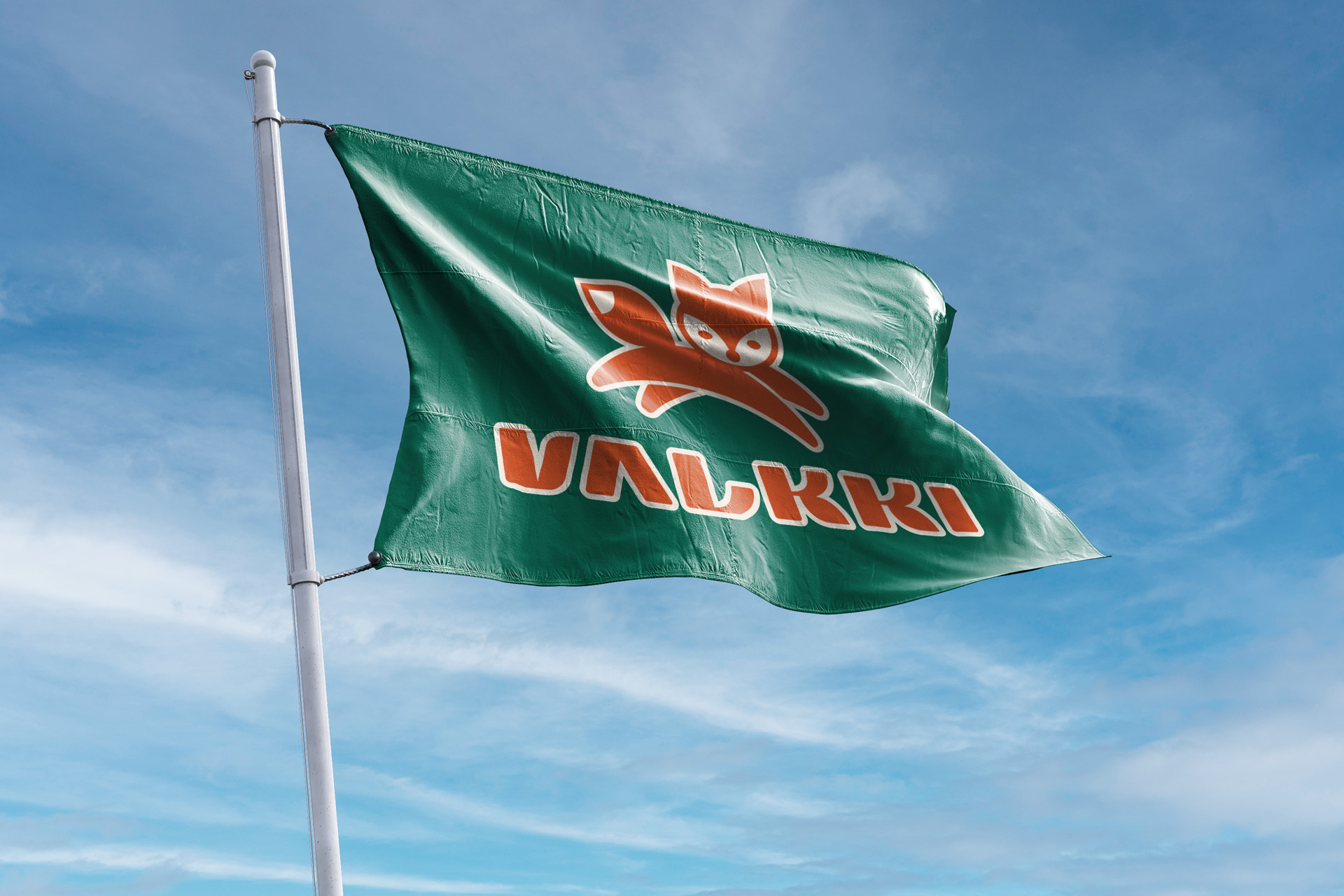 Valkki - Castoldi Estrategista de Marca